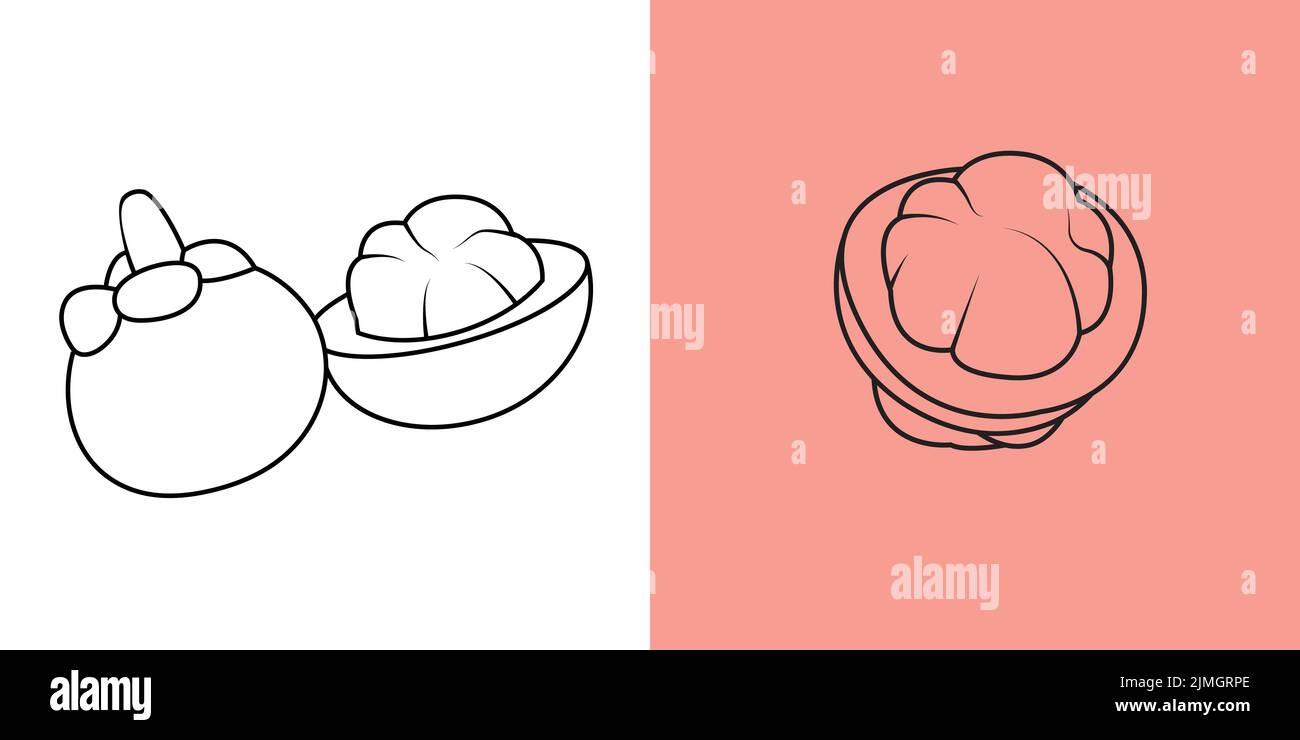 Tropical fruit. mangosteen vector background.nutrition, Thailand fruits ...