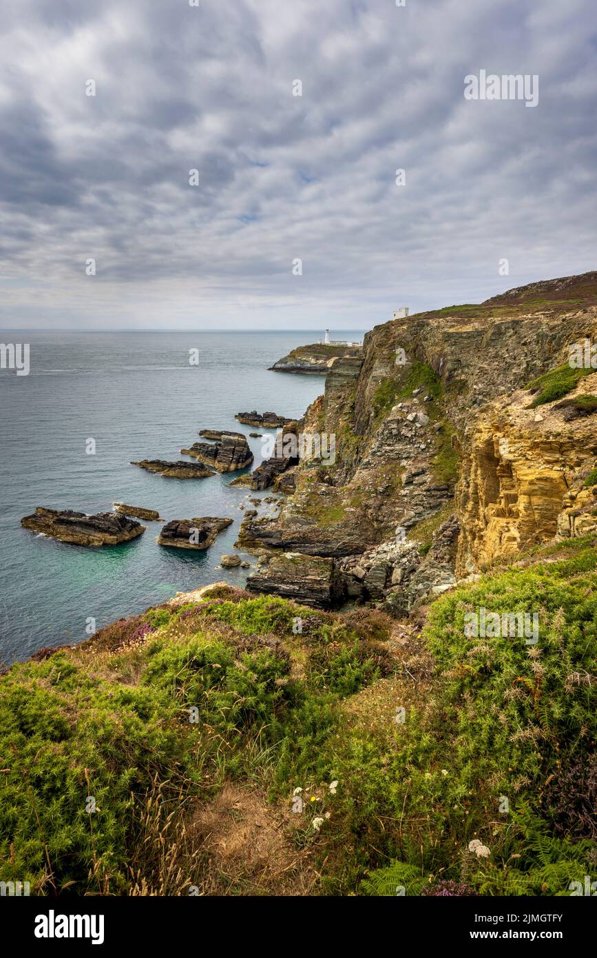 The South Stack cliffs with the Lighthouse and Elin’s Tower in the ...