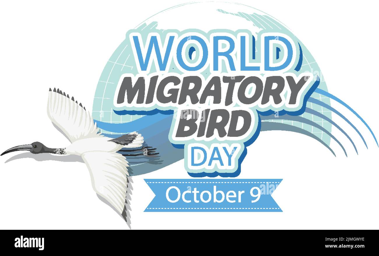 World Migratory Bird Day Banner Concept illustration Stock Vector Image ...