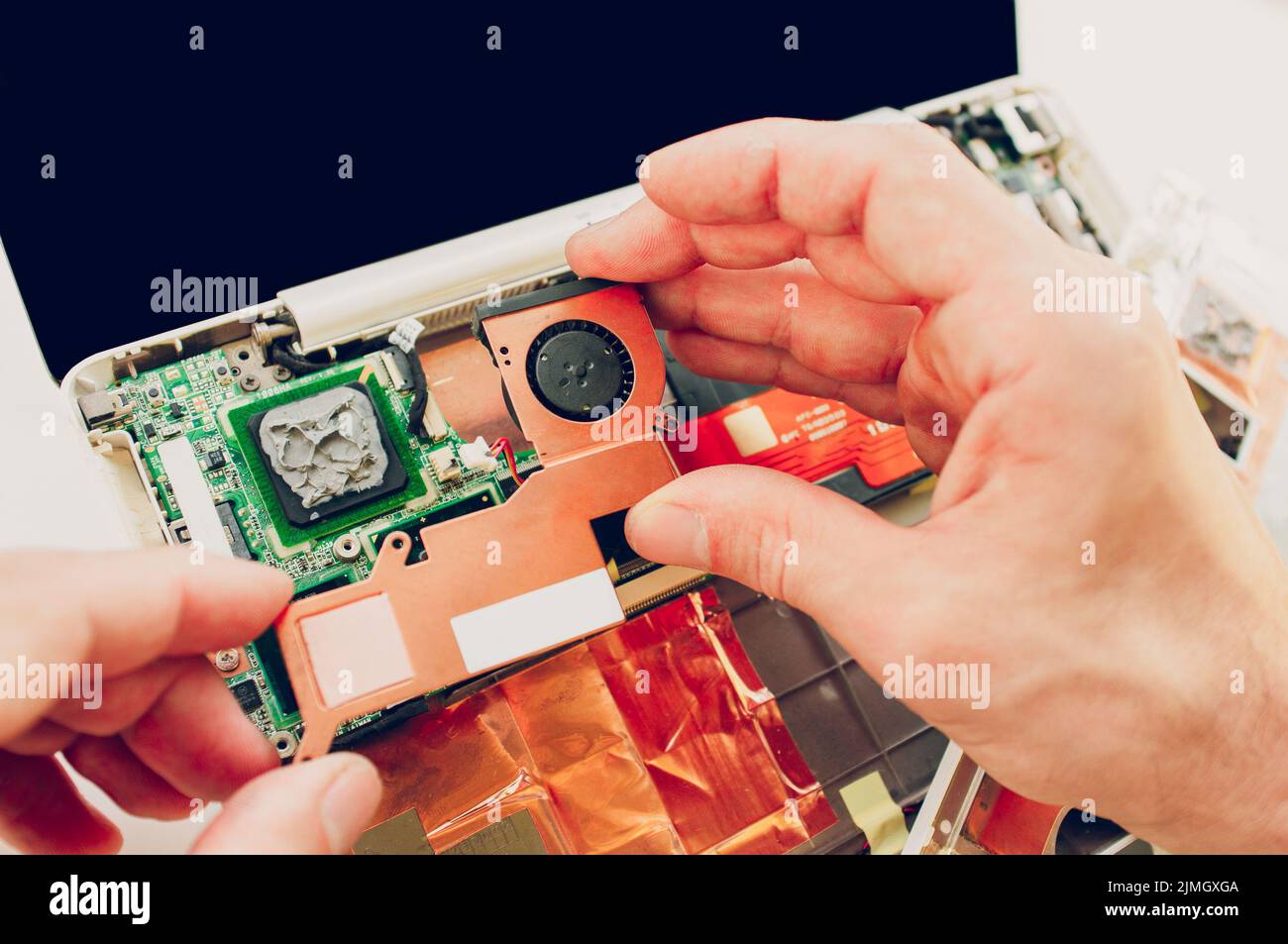 technician expertise disassembled laptop component Stock Photo - Alamy