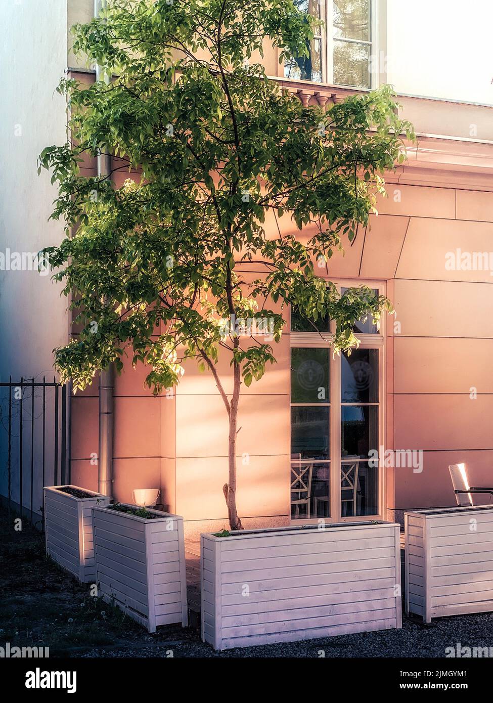 A vertical shot of a building in the corner of the street with a tree ...