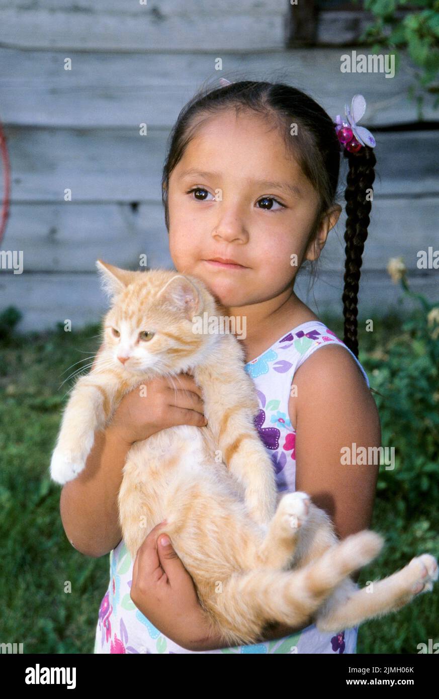 Young Native American girl holds a kitten on the Fort Hall Indian ...
