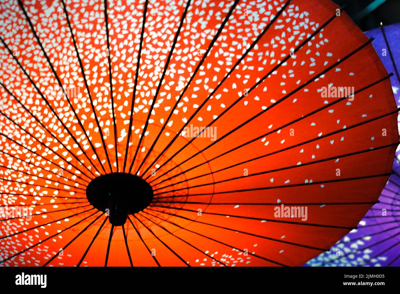 Image of colorful Japanese umbrella Stock Photo - Alamy