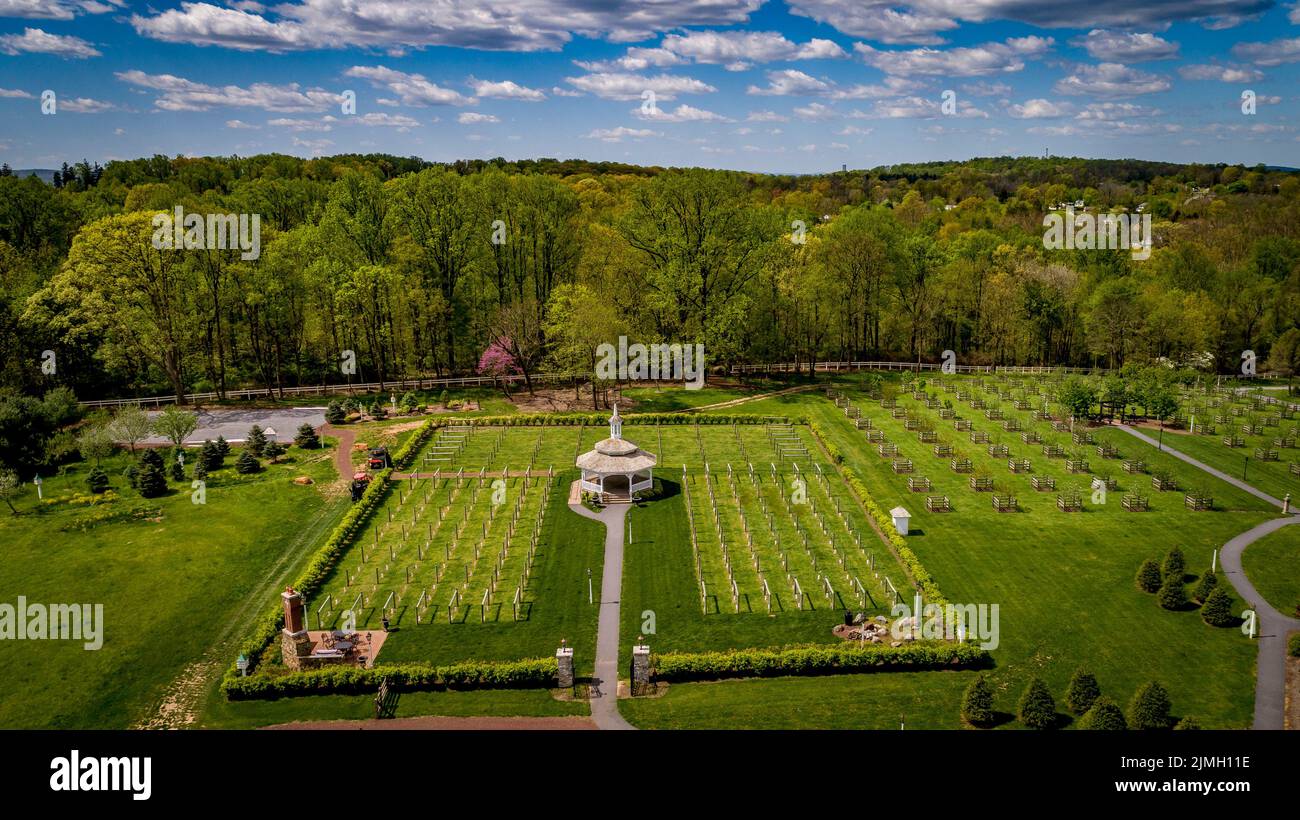 Aerial View of an Orchard and Vineyard With a Gazebo Stock Photo - Alamy