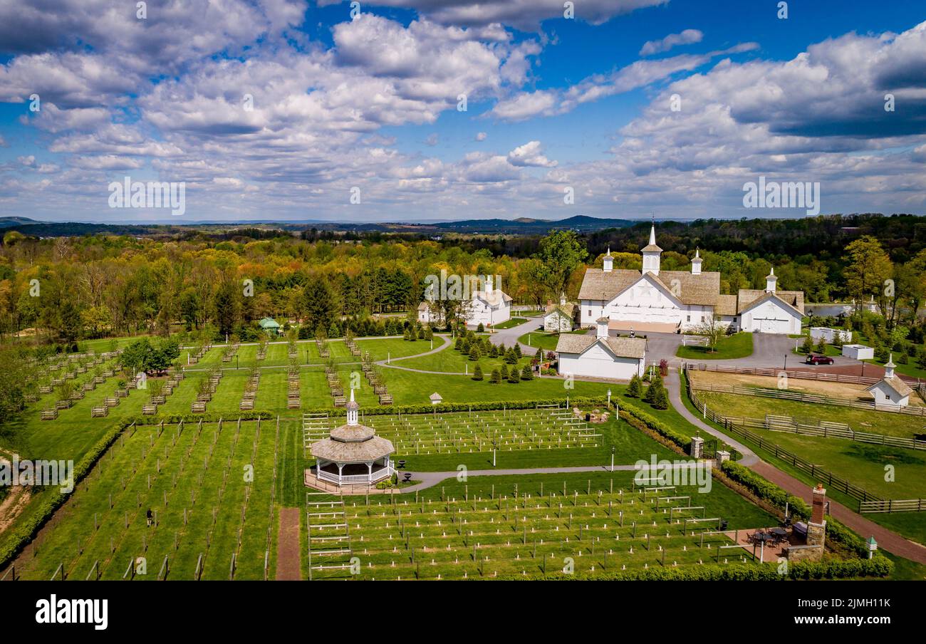Aerial View of an Orchard and Vineyard With a Gazebo Stock Photo - Alamy