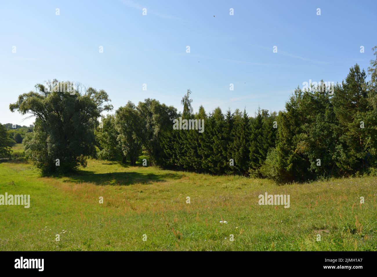 Beautiful fields, distant steppes, meadows with wild herbs, lush grass ...