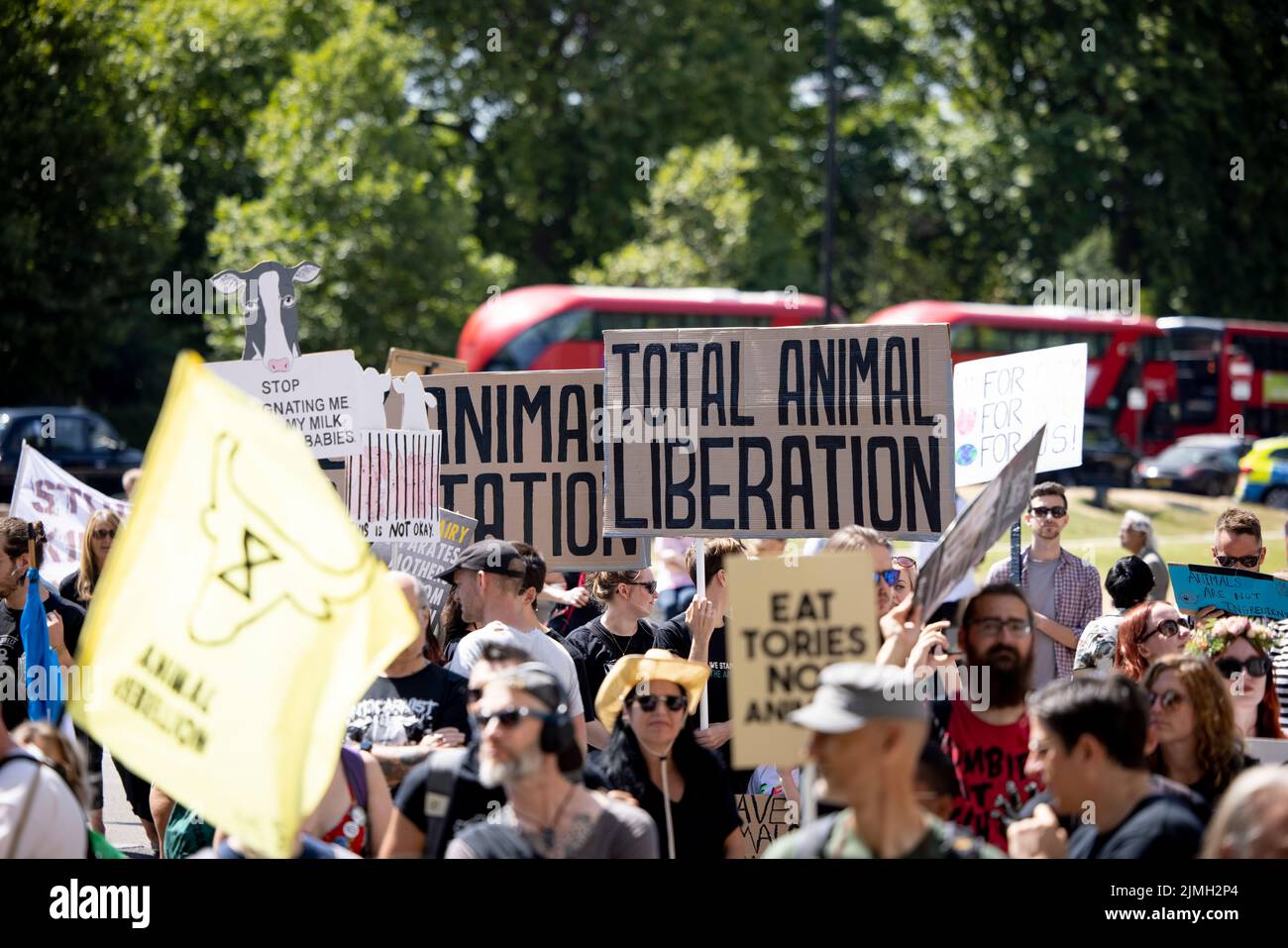 London, UK. 06th Aug, 2022. Placards supporting animal rights are seen ...