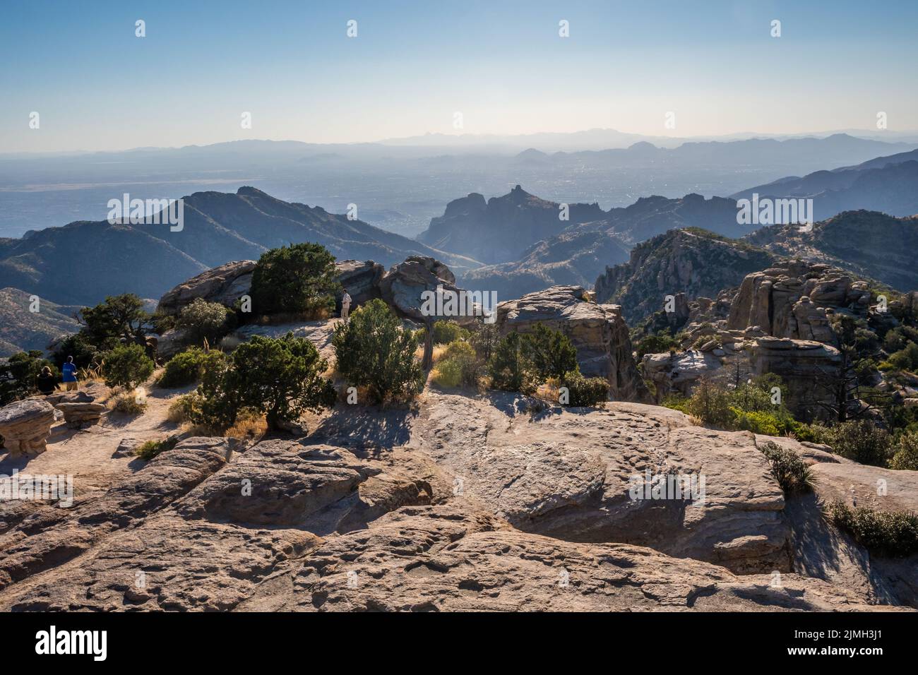 Tucson nature hi-res stock photography and images - Alamy