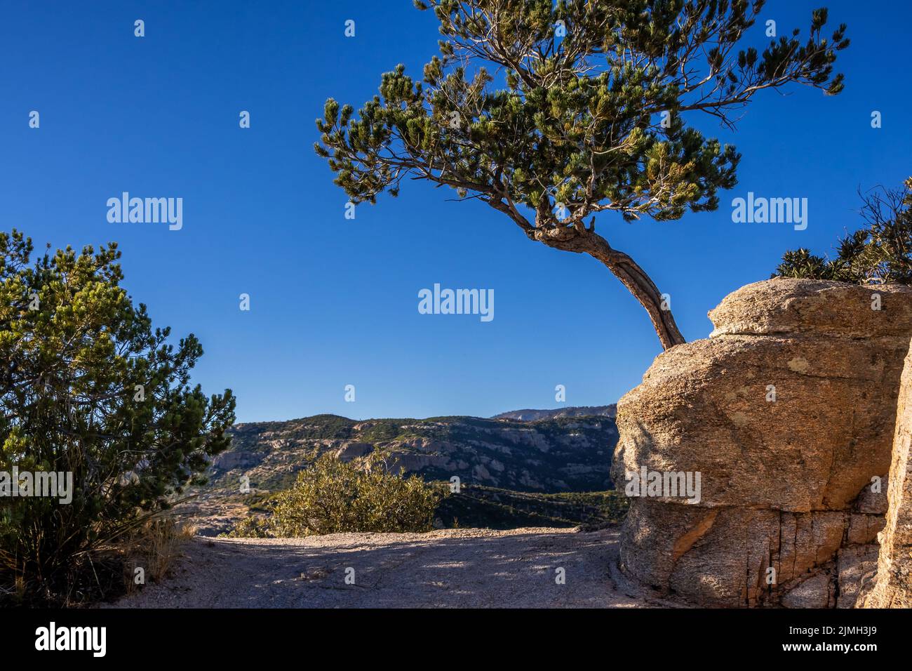 An overlooking view of nature in Tucson, Arizona Stock Photo - Alamy