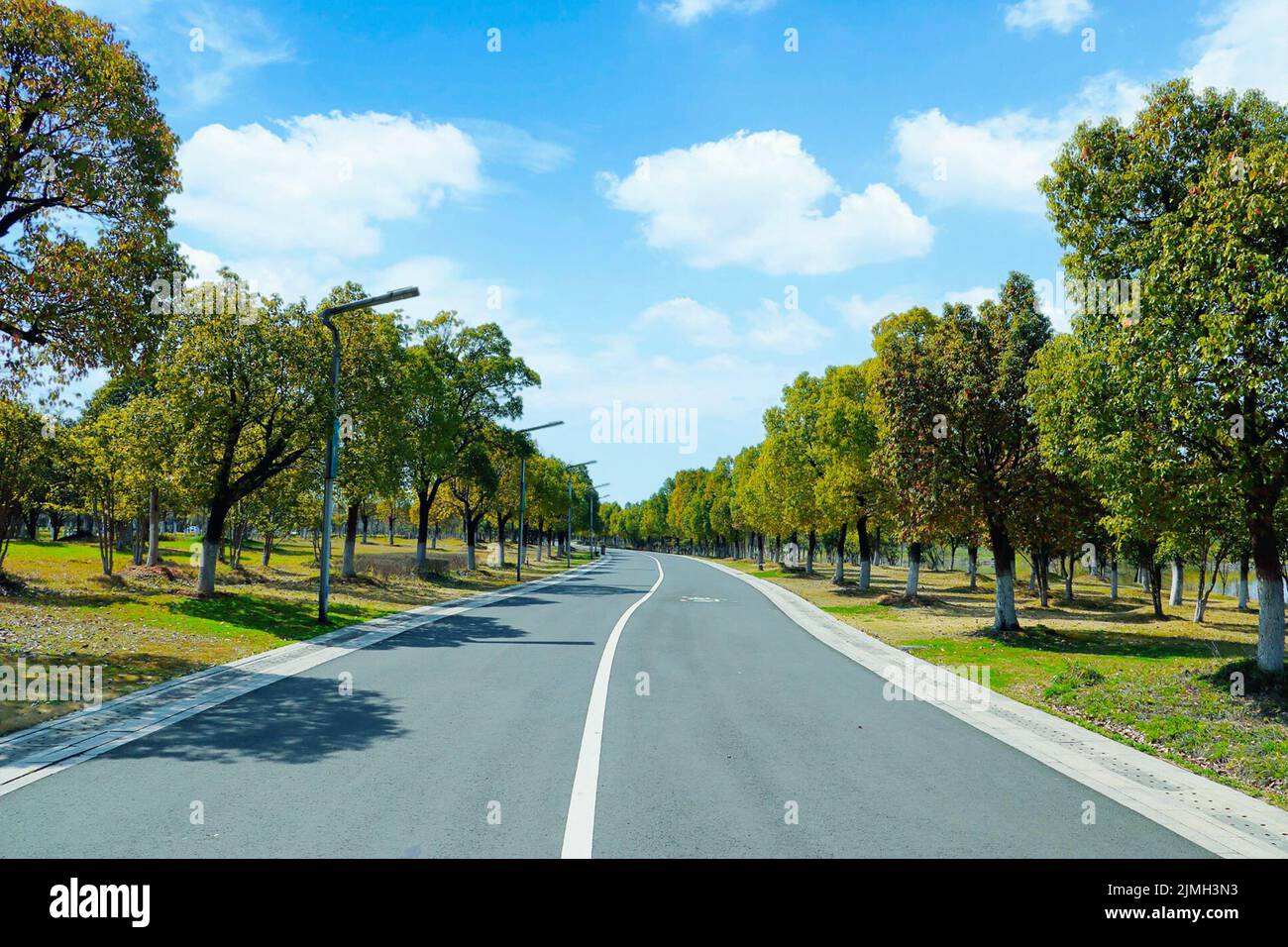 A road with two lanes surrounded by trees on both sides under a cloudy ...