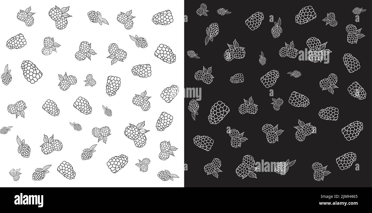 Line art of a blackcurrant illustration of Blackberry.Full frame shot ...