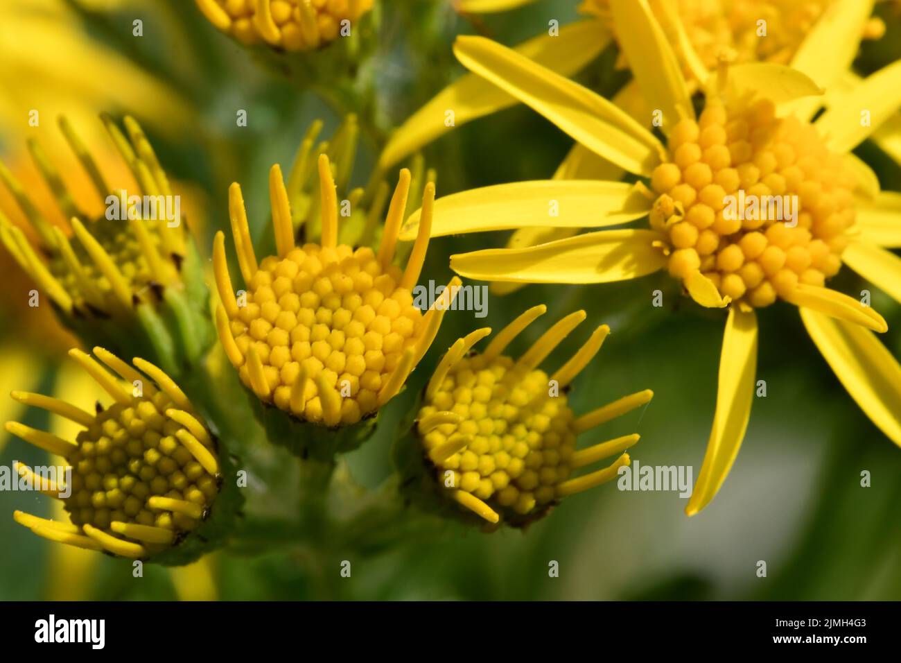 Beautiful pictures of ireland hi-res stock photography and images - Alamy