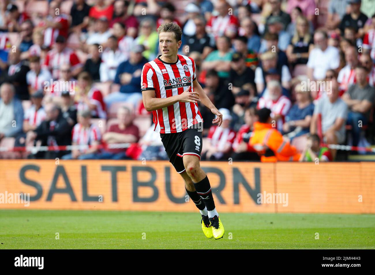 Sander Berge #8 of Sheffield United Stock Photo - Alamy