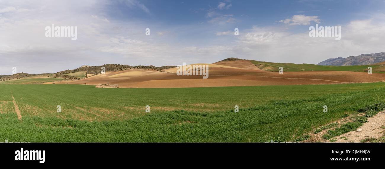 Earth fertile hi-res stock photography and images - Alamy