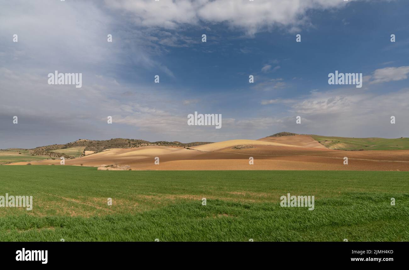 Beautiful landscape of fertile green field and freshly plowed brown ...