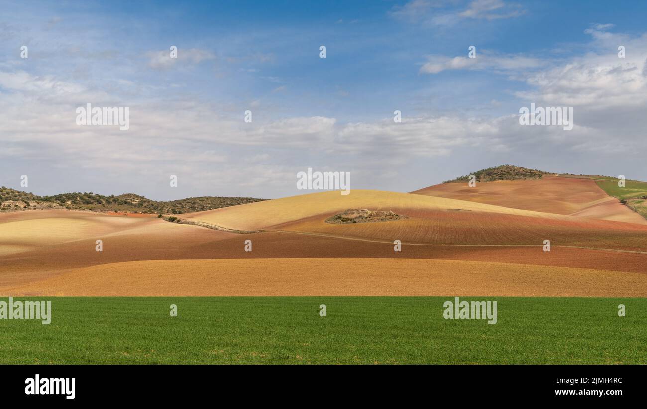 A beautiful landscape of fertile green field and freshly plowed brown ...