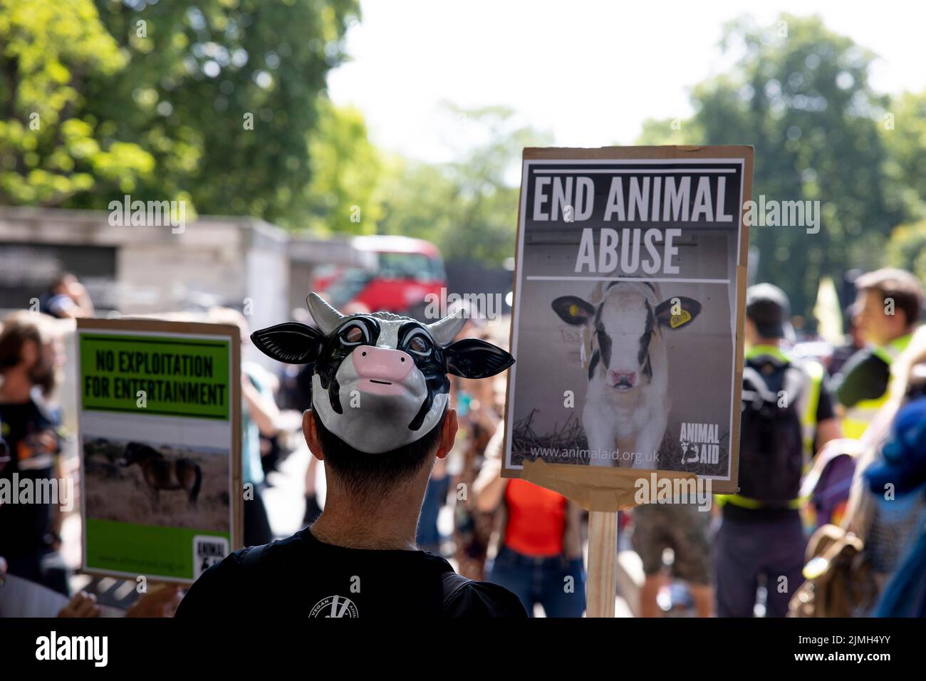 London, UK. 06th Aug, 2022. An activist seen wearing a cow mask while ...