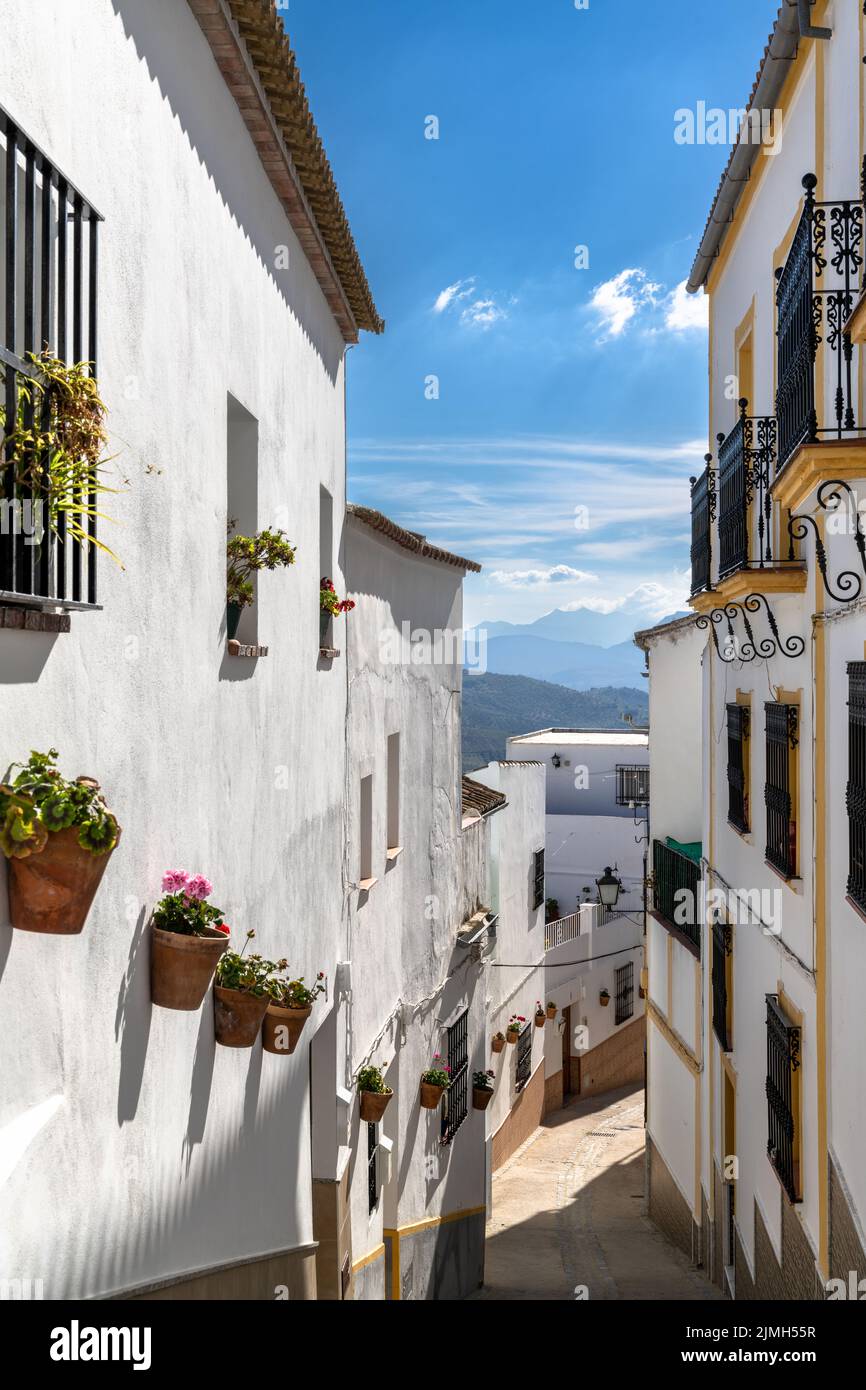 Nuestra senora de la incarnación hi-res stock photography and images ...