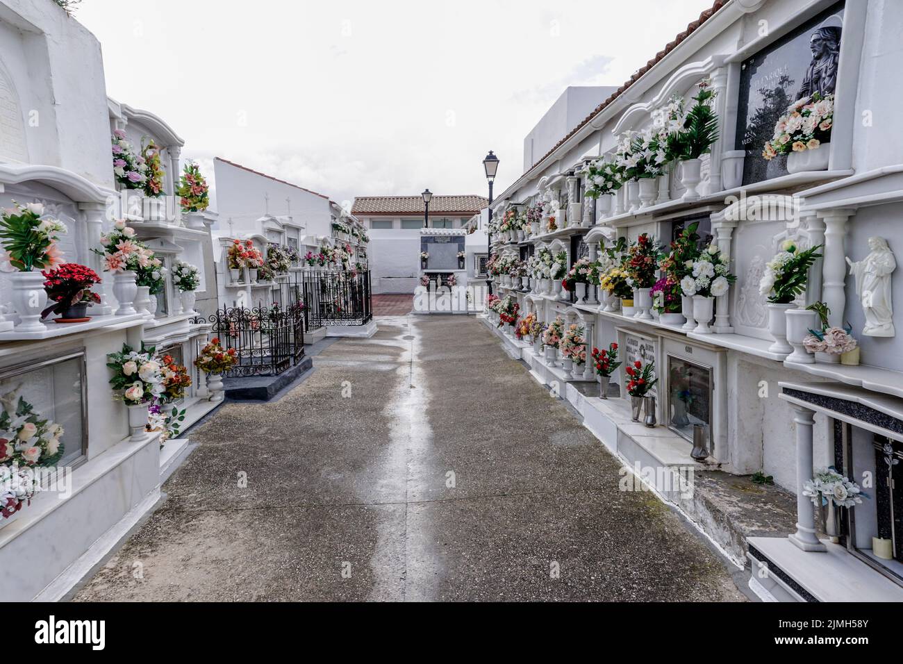View of the historic Roman Catholic cemetery in El Burgo with tombs and ...