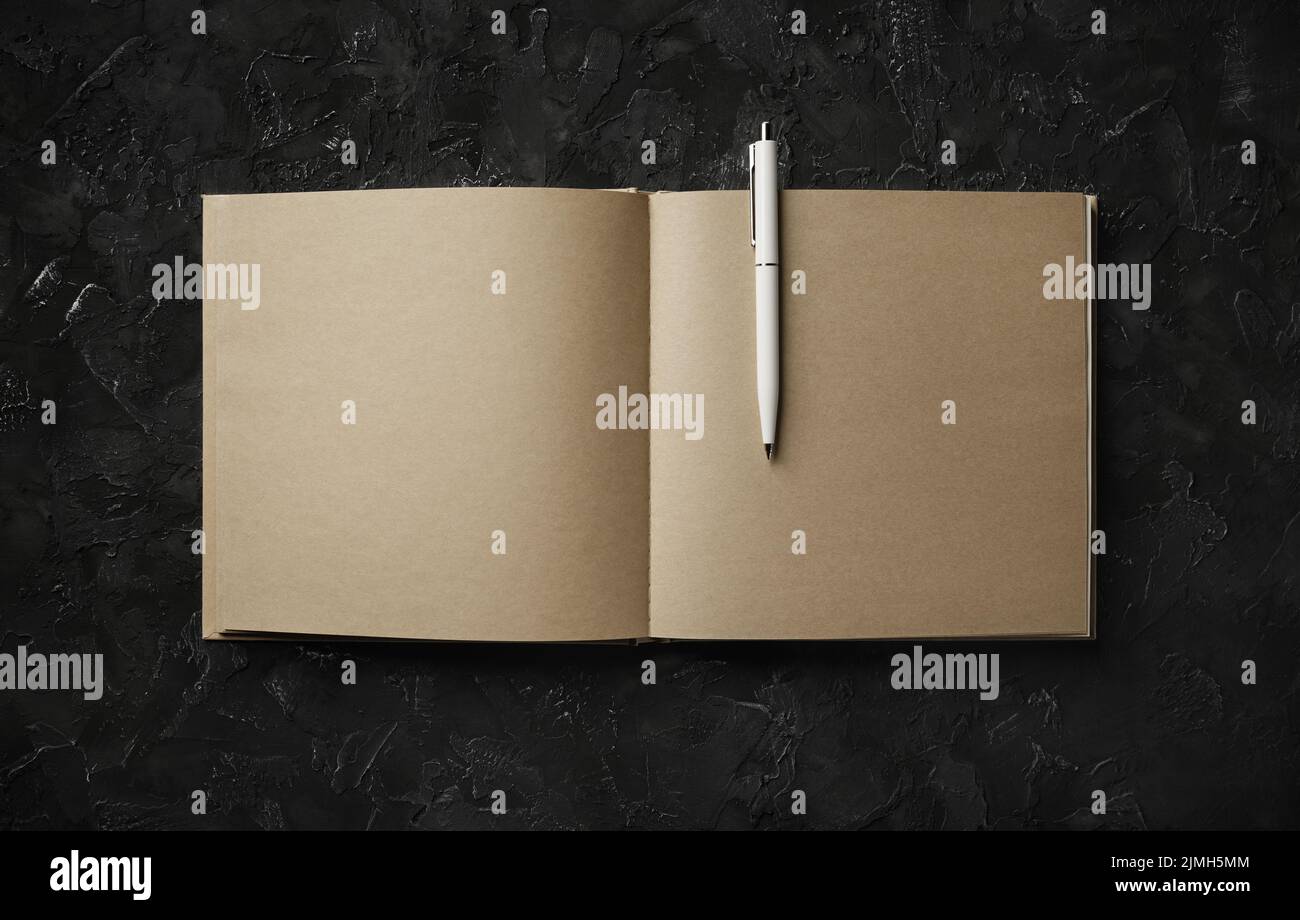 Book and pen Stock Photo - Alamy