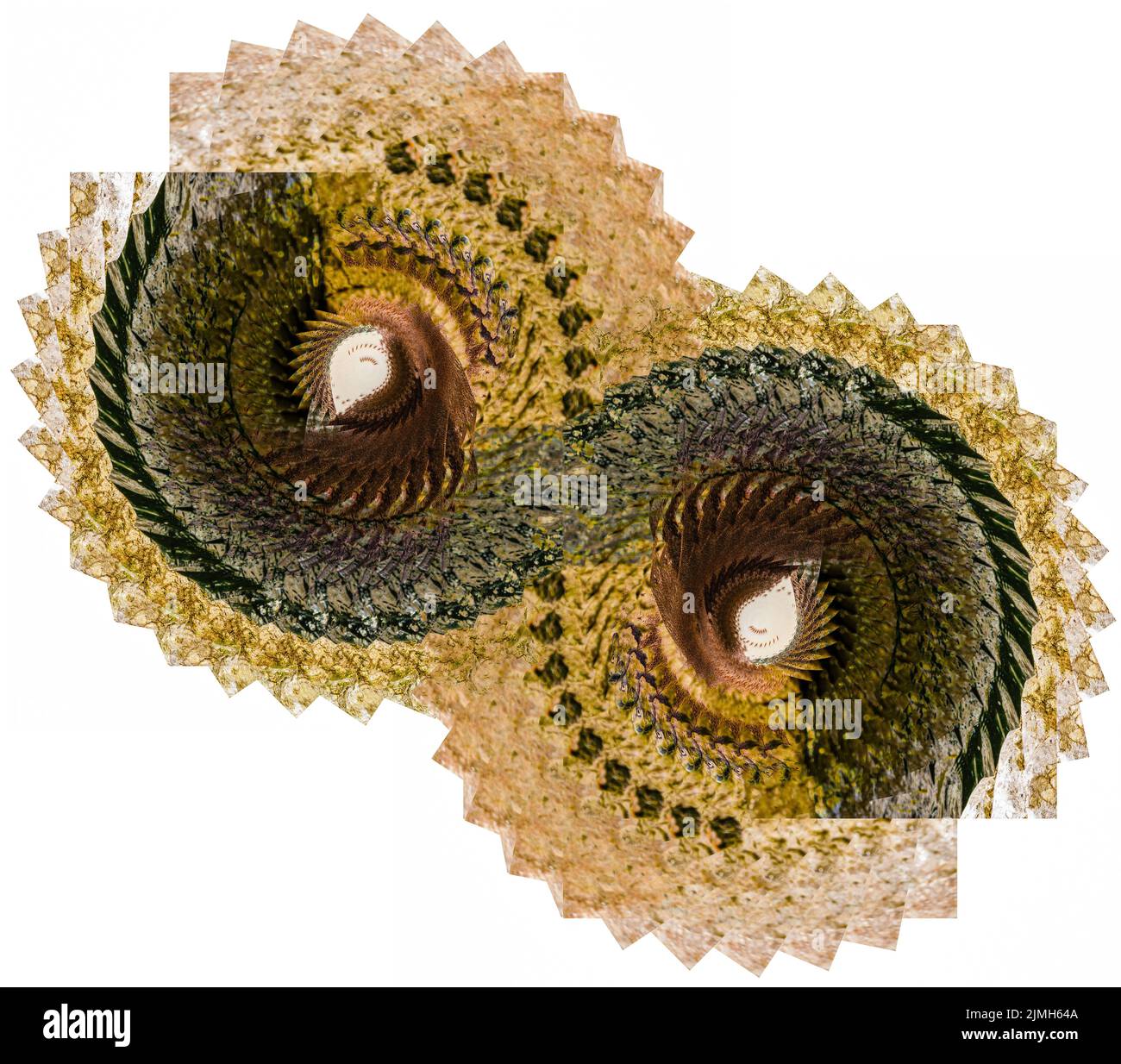 abstract photo of two spheric shapes combining Stock Photo - Alamy