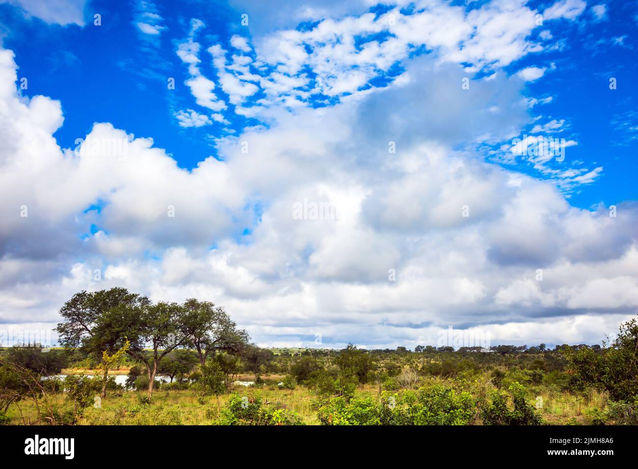 Beautiful cloudy and windy day Stock Photo - Alamy