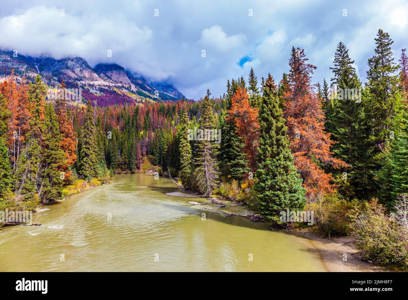 River among trees hi-res stock photography and images - Alamy