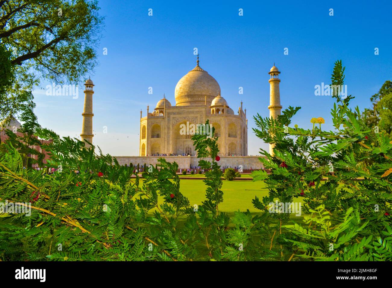 The Taj Mahal of the image (India, Agra Stock Photo - Alamy