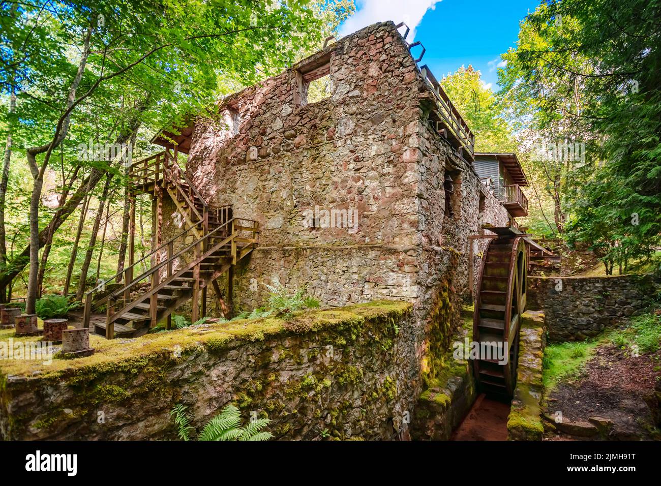 Old ruins in the forest Stock Photo - Alamy