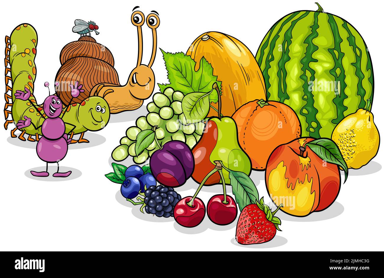 Fruit insects Cut Out Stock Images & Pictures - Alamy