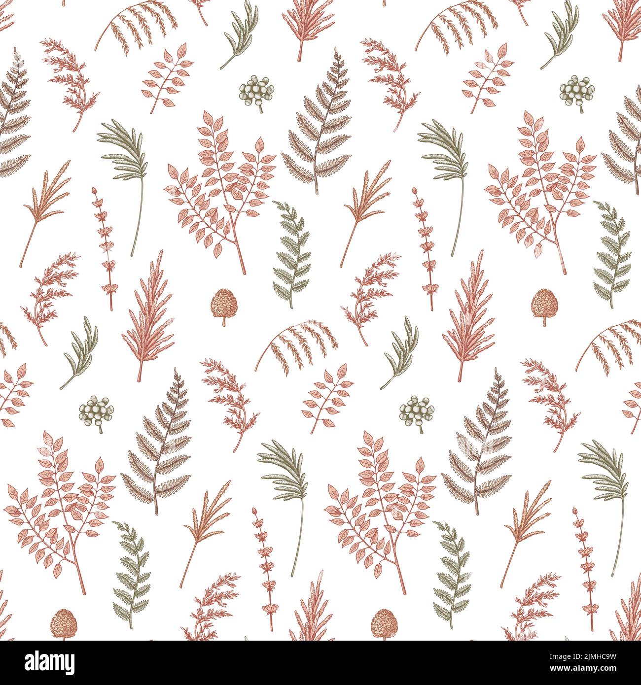 Boho summer Stock Vector Images - Alamy
