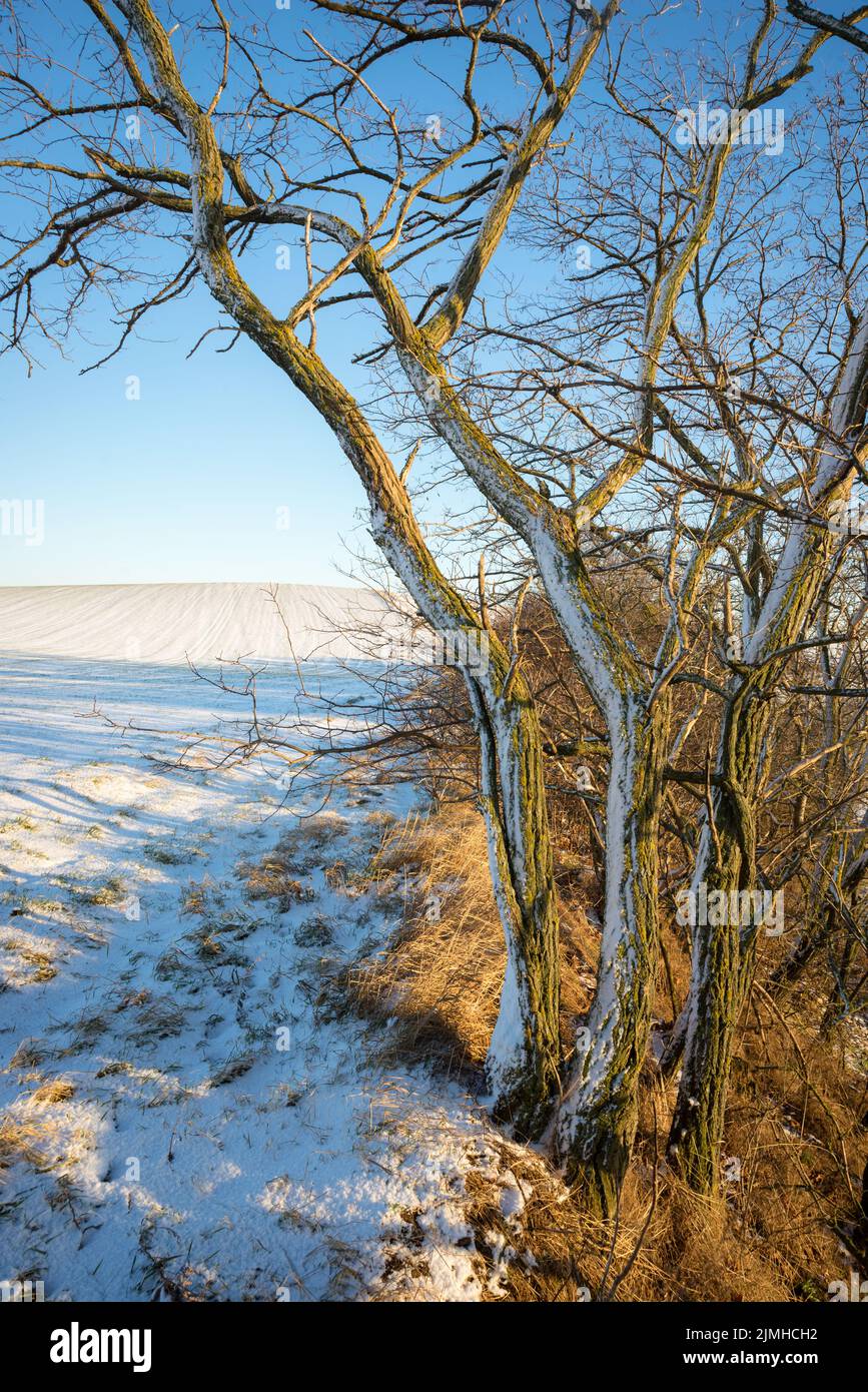 Wide landscape image hi-res stock photography and images - Alamy