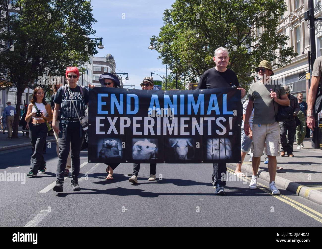End animal experiments hi-res stock photography and images - Alamy