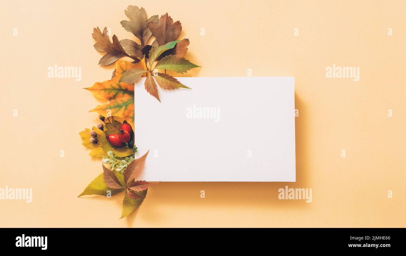 autumn greeting card white paper peach background Stock Photo - Alamy