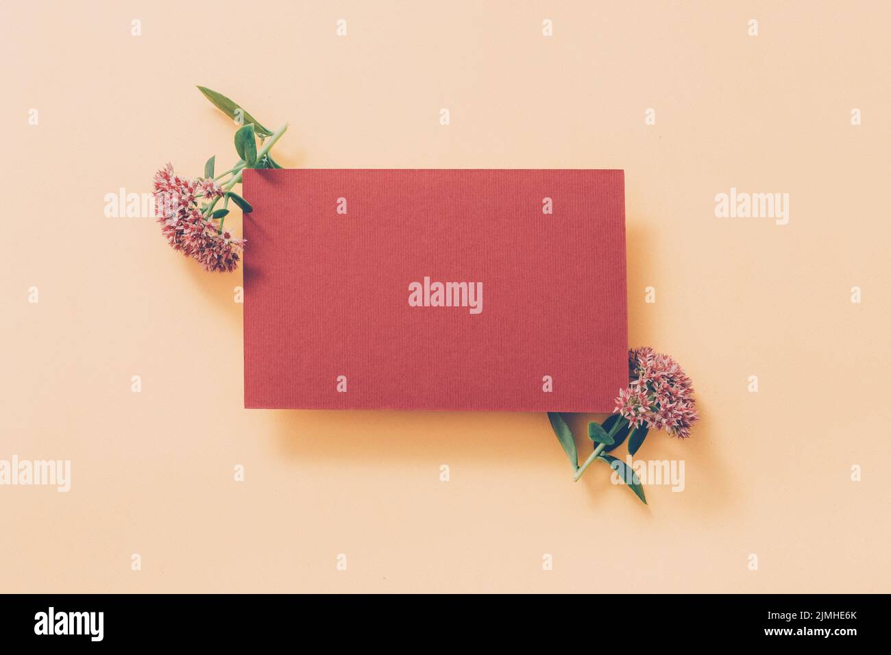 autumn invitation maroon paper peach background Stock Photo - Alamy