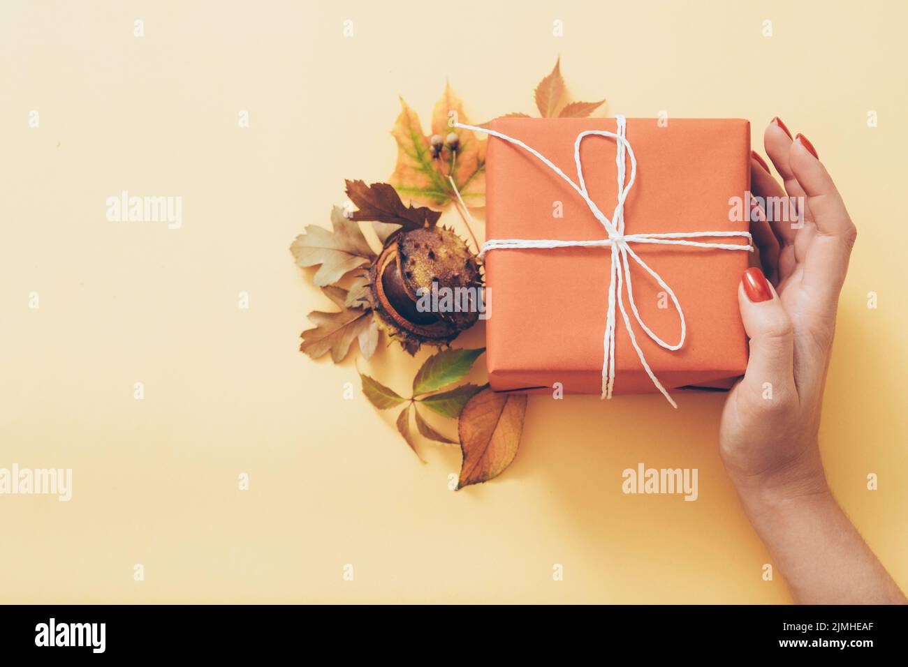 Female hand red autumn leaves hi-res stock photography and images - Alamy