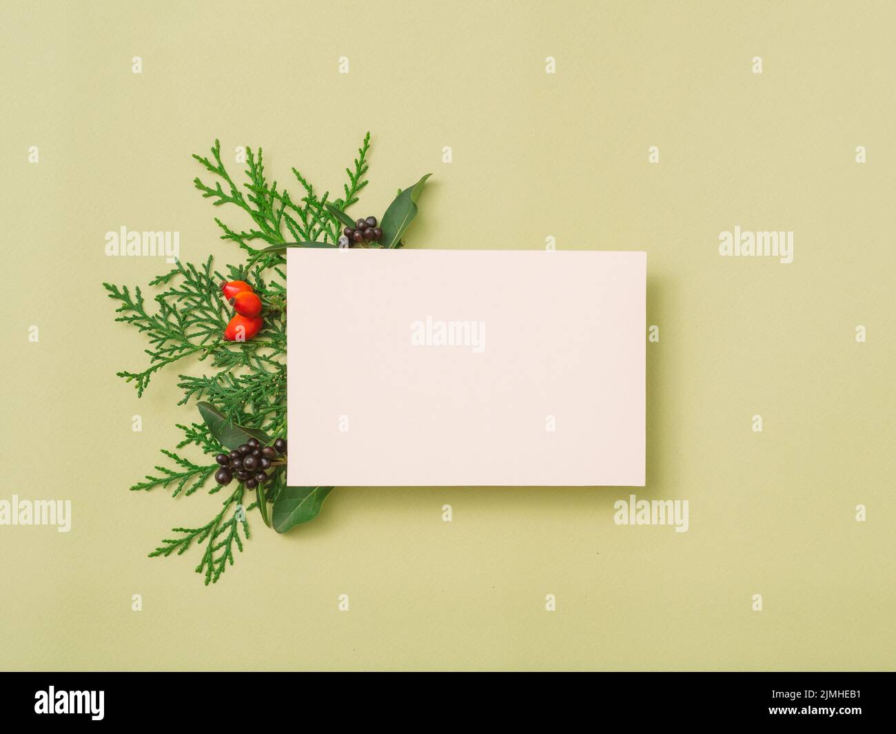 festive greeting card white paper olive background Stock Photo - Alamy