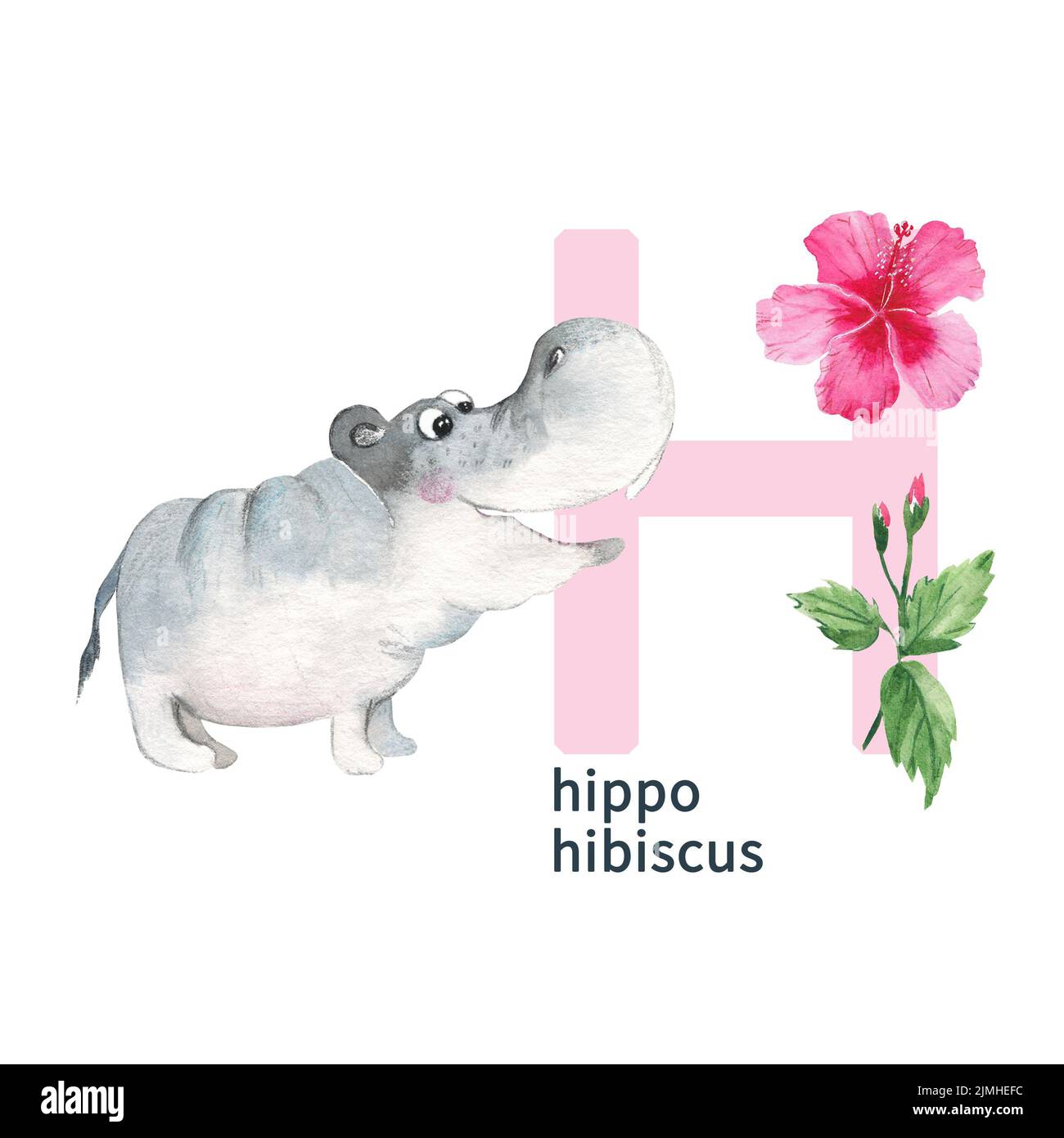 Letter H, hippo with hibiscus, cute kids colorful animals and flower ABC alphabet. Watercolor ...
