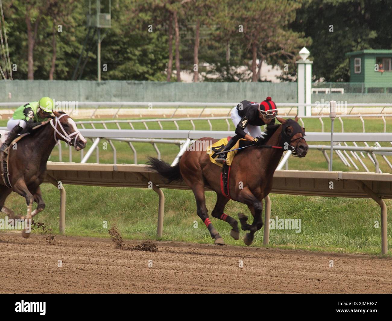 Racehorses with all hooves off the ground as they run hi-res stock ...