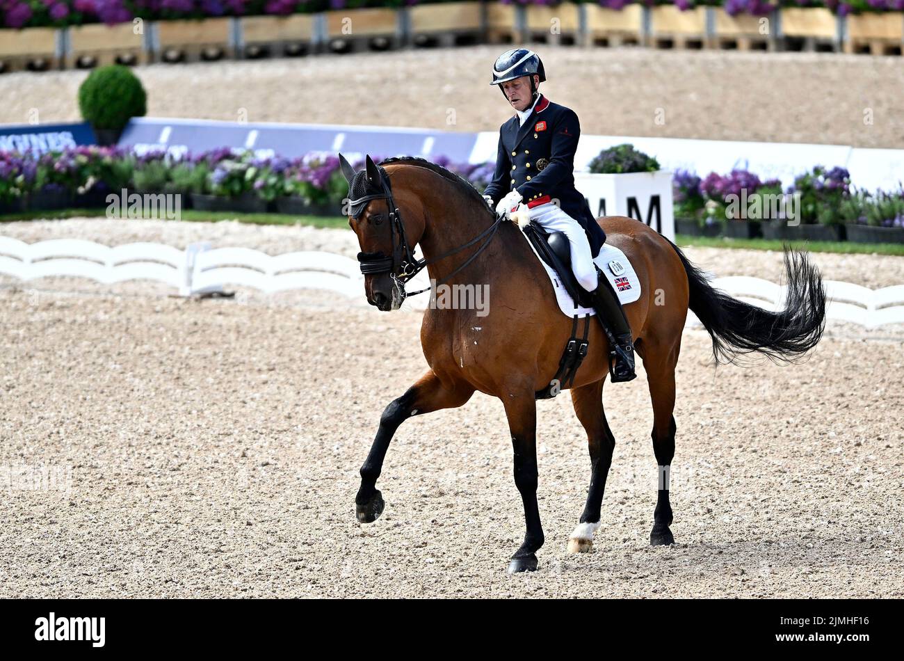 Richard davison, dressage hi-res stock photography and images - Alamy