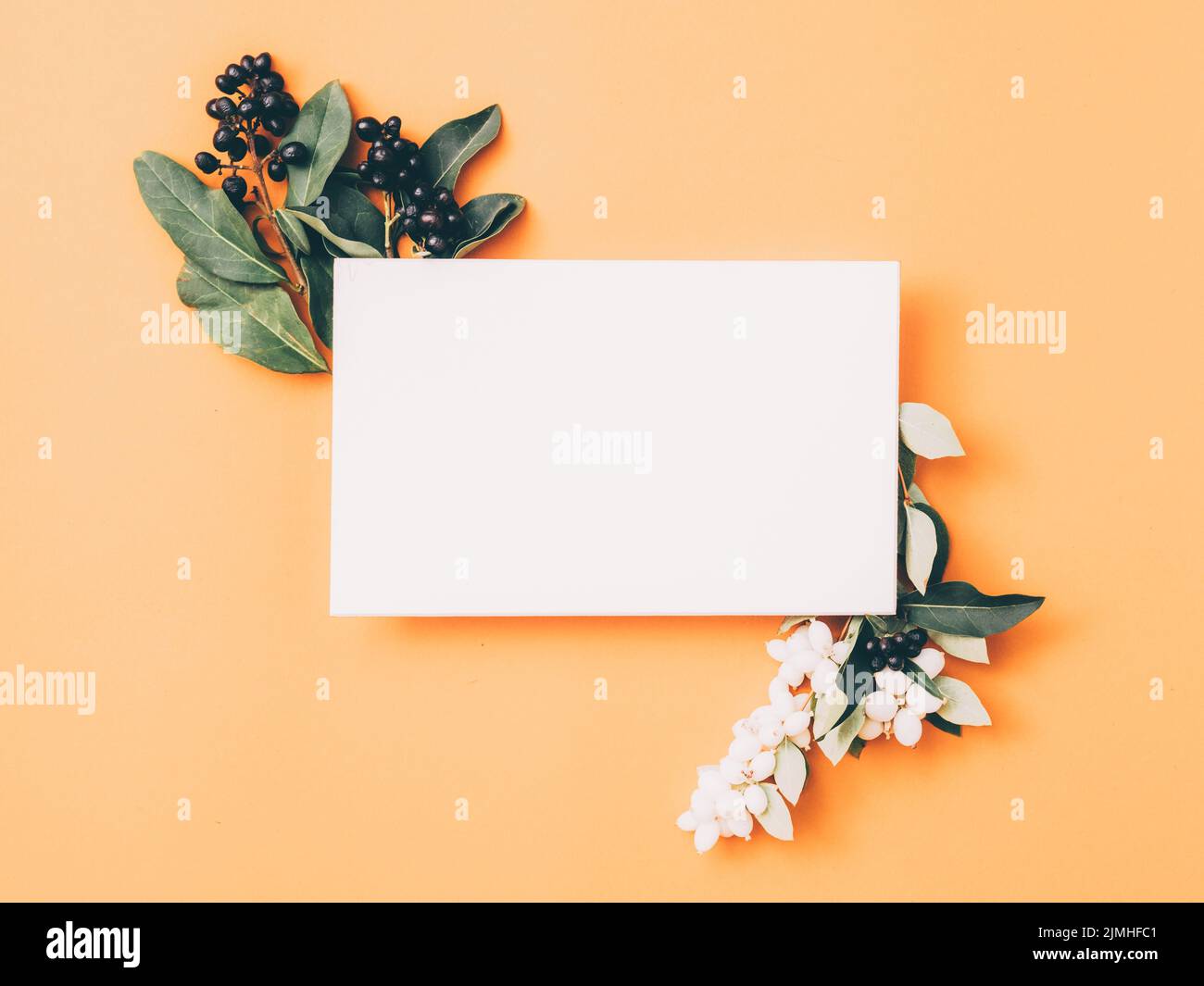 floral greeting card white paper peach background Stock Photo - Alamy