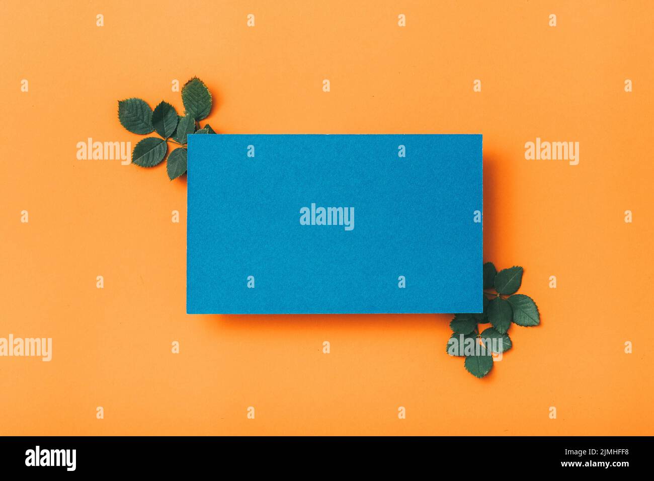 greeting card blue paper leaves orange background Stock Photo - Alamy