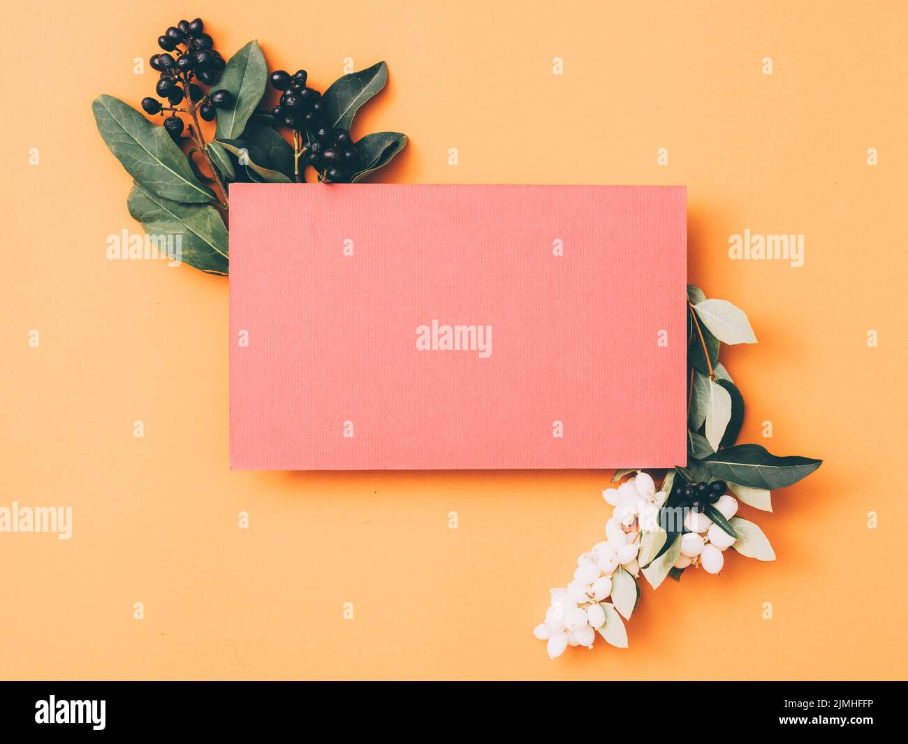 floral greeting card red paper peach background Stock Photo - Alamy