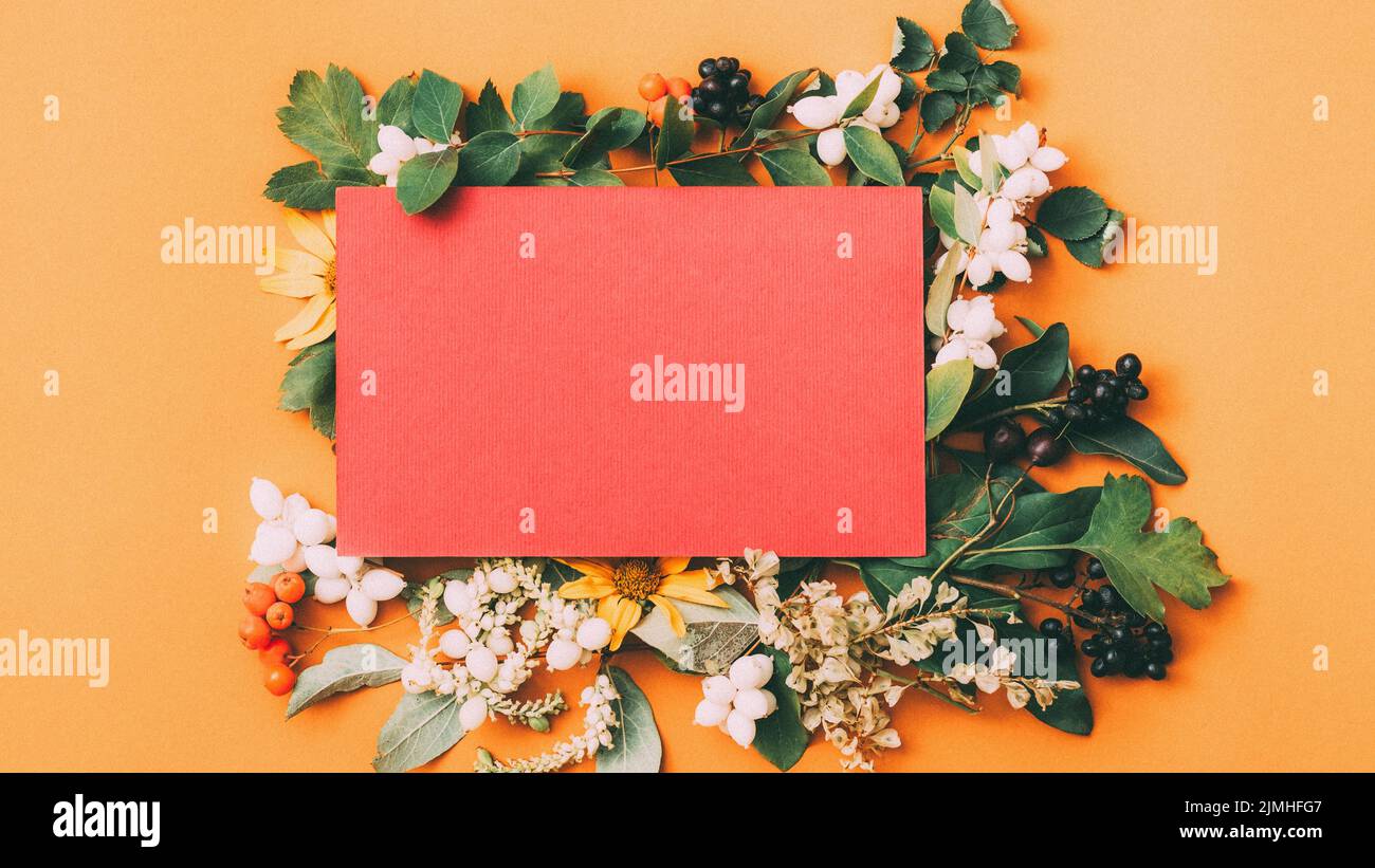 autumn greeting card red paper peach background Stock Photo - Alamy