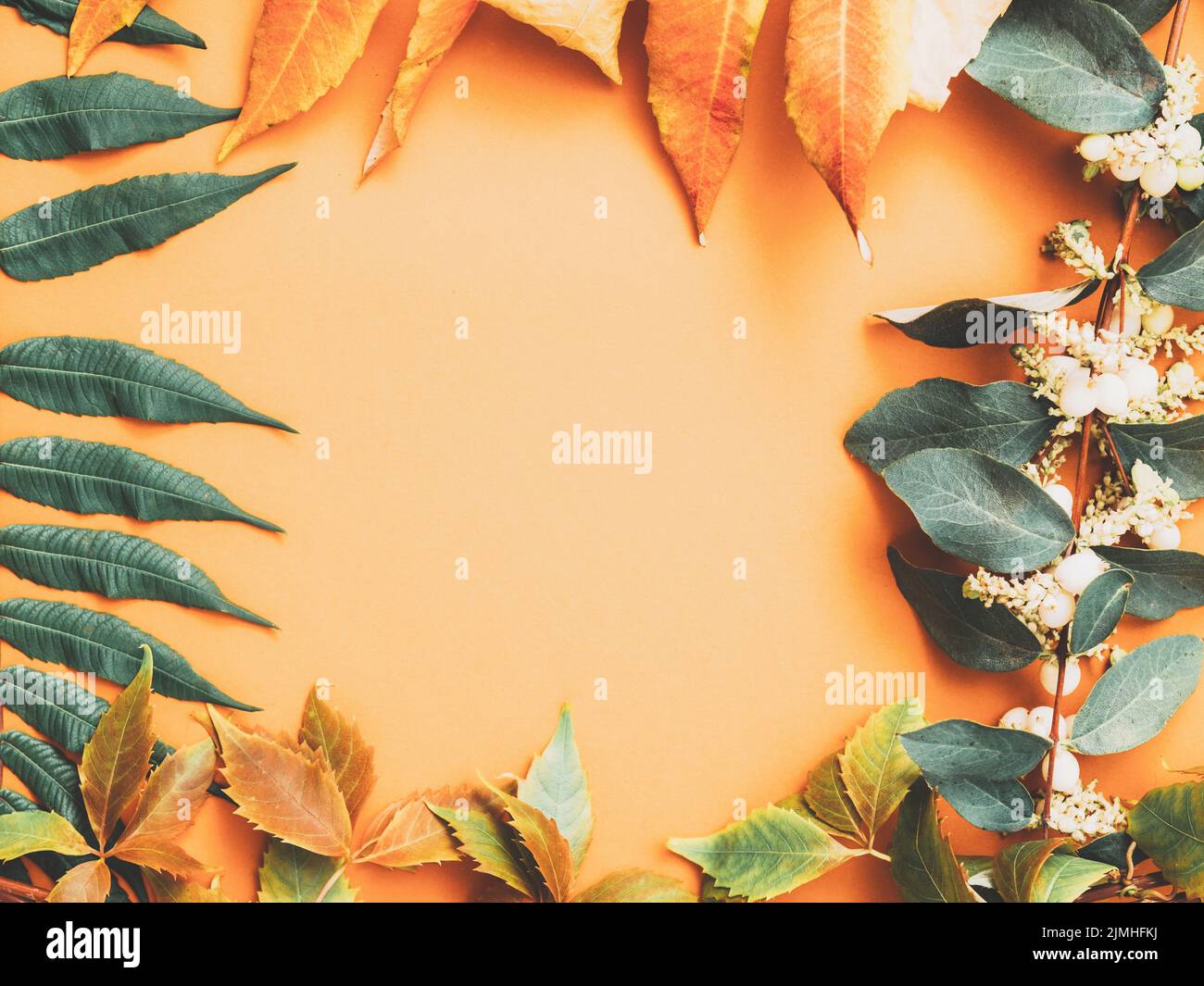 Decor leaves hi-res stock photography and images - Alamy