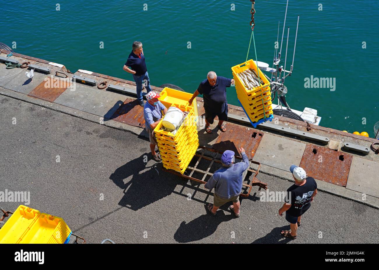 Fishing vessel boat load fish hi-res stock photography and images - Alamy