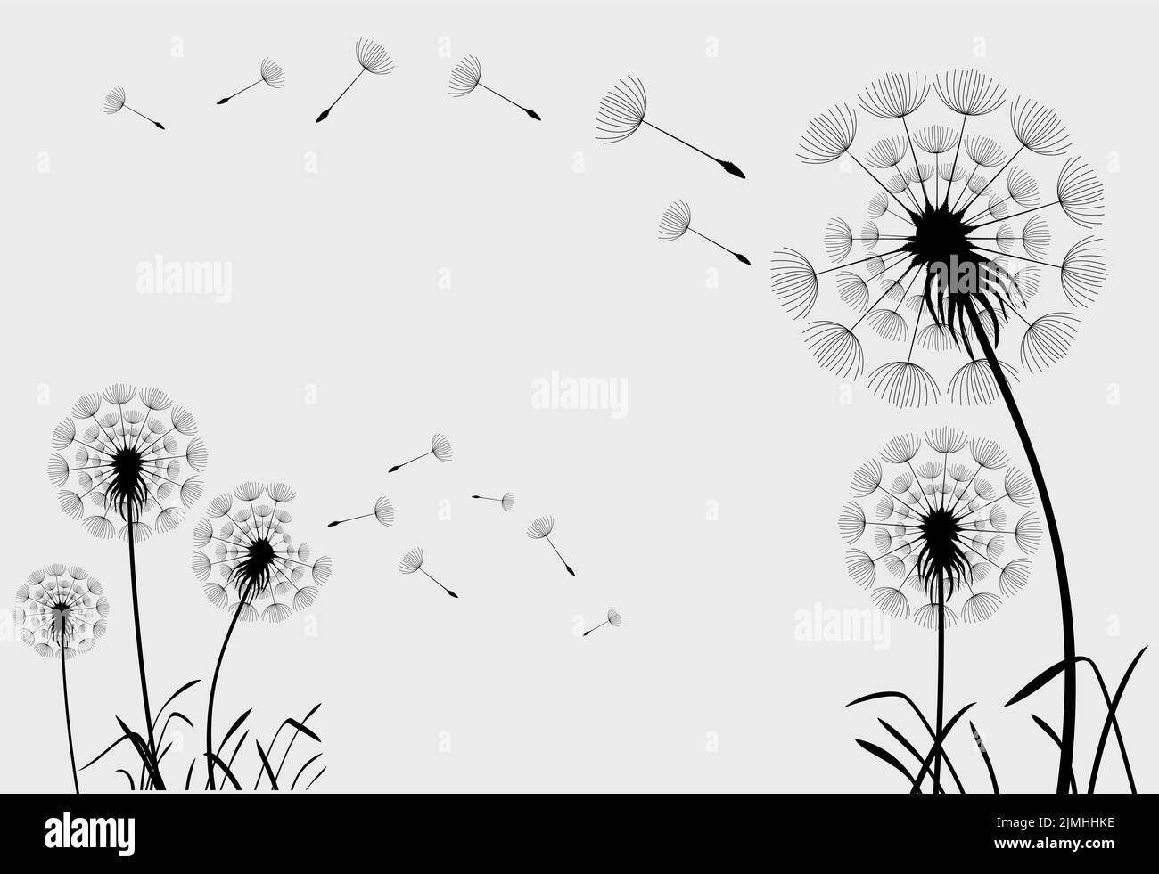 Dandelion Blowing Drawing Black And White Dandelion Blowing Drawing Black And White