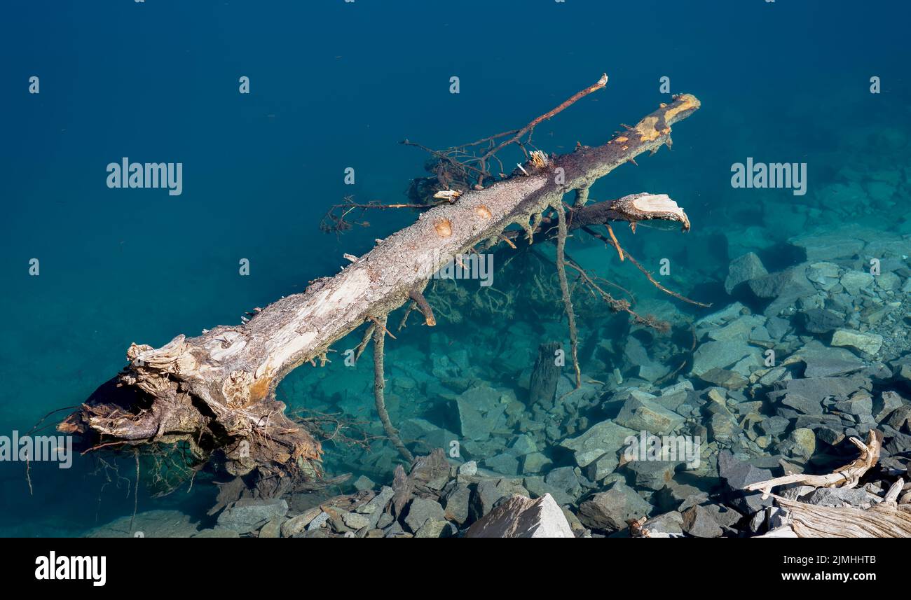 an old tree log floats in turquoise water at the Barrage dam and Lac de ...