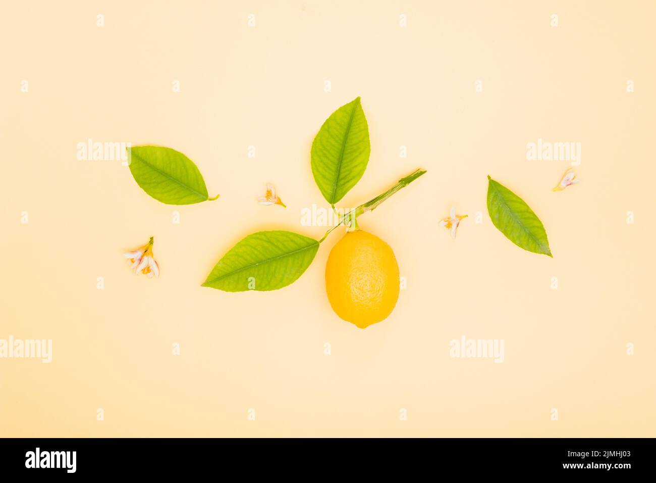 Top view lemon with leaves Stock Photo - Alamy