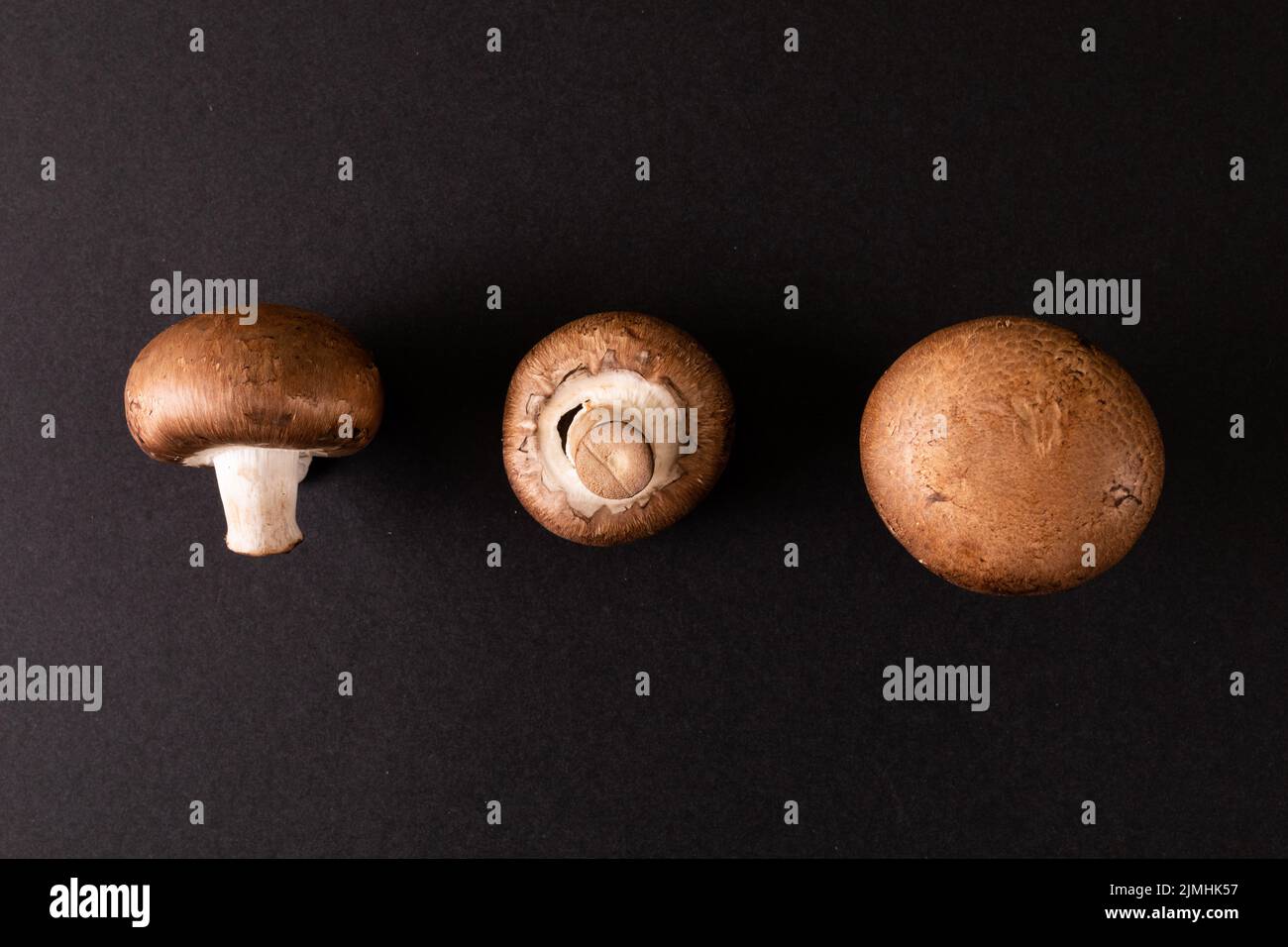Overhead view of mushrooms arranged side by side on black background ...